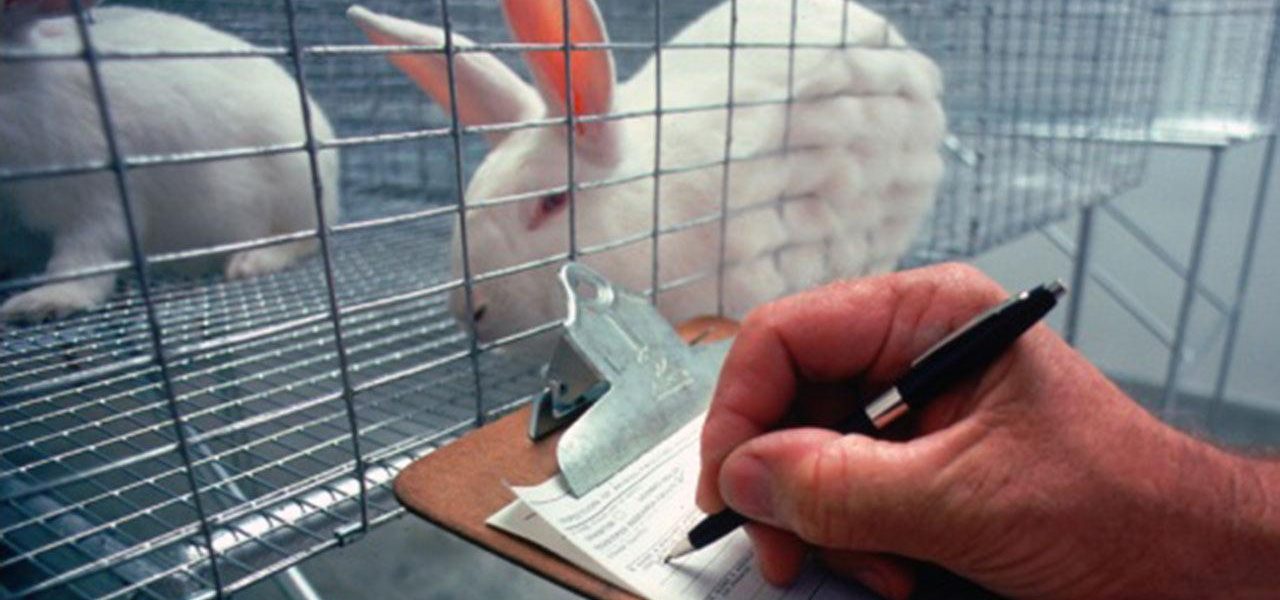 Do You Need Animal Study for Your Device? 12 Devices as Examples